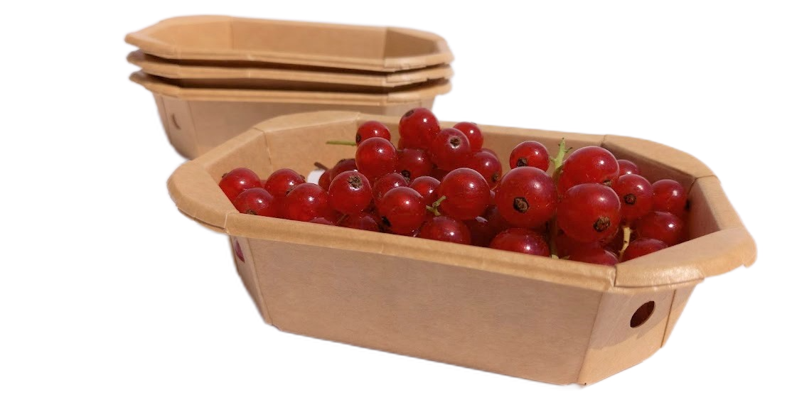 MUSTANG PAPER TRAYS - Omnia Packaging Inc