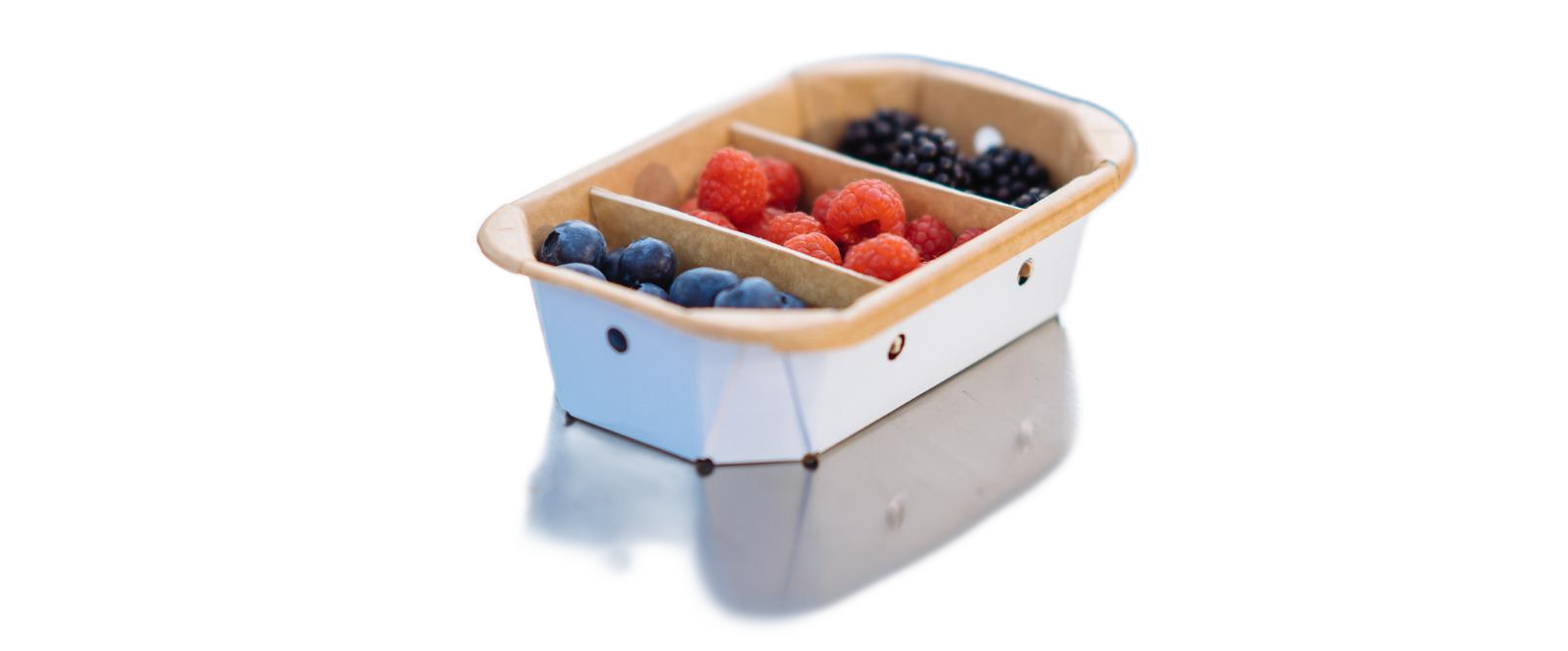 MUSTANG PAPER TRAYS - Omnia Packaging Inc